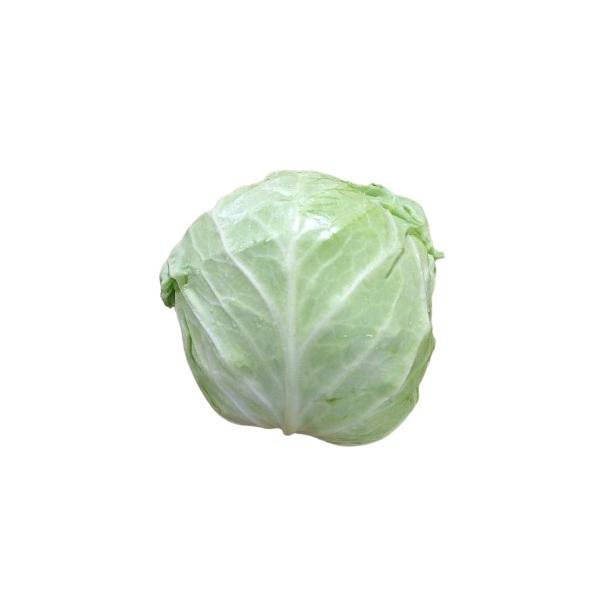 生産者：くらぶち草の会（群馬県高崎市）防除：農薬0回・化肥0回普通のキャベツに比べて丸形をしているのが特徴のグリーンボール。しっかり結球していますが葉が柔らかく味も甘みがあっておいしいですよ。ハンドボールくらいのサイズ。本当に丸いです。　　　爆買