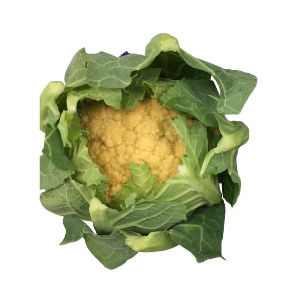 生産者：沃土会（埼玉県深谷市）防除：農薬7割減（虫3菌1）（許1）・化肥0回品種：オレンジ美星サイズは白いカリフラワーより小さめです。花蕾が濃い黄色〜オレンジ色の品種のカリフラワーで、普通の白いカリフラワーと比べて小さめですが、ほんのり甘味...