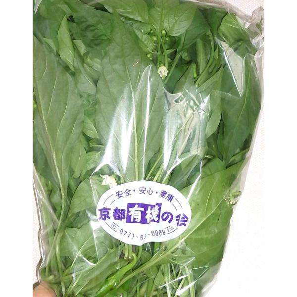 生産者：京都有機の会 越川さん（京都府南丹市）防除：農薬0回・化肥0回葉とうがらしは万願寺とうがらしが葉っぱ。夏から秋口にかけての収穫時期に、小さい唐辛子の鞘をつけたまま、葉ごと出荷します。とうがらしの葉は鞘ほどではありませんが若干辛く、佃...