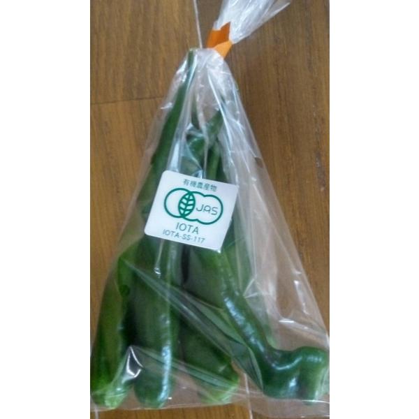 生産者：都丸昌紀（沖縄県宮古島）有機JAS認証（許7）甘長とうがらしは、唐辛子の「甘味種」にあたります。辛みが少なく甘みがあり、ピーマンやししとうと違った独特の風味があるのが特徴です。ピーマンと同じく熟す前ものを収穫するので緑色ですが、完熟...