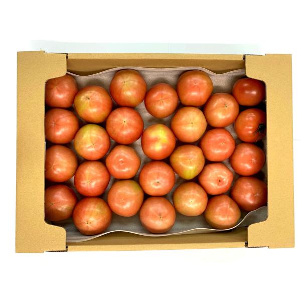 生産者：北岡智哉（高知県東洋町）有機JAS認証 (許30)北岡さんは脱サラして、サーファーでもあるので高知の室戸岬に近い生見に就農、トマトの有機栽培を始めました。 転換期間中が終了し、正式な有機JAS認証のトマトです。　