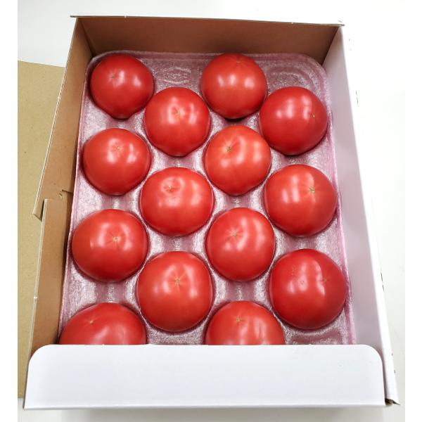 生産者：宮崎農園（佐賀県川副町）防除：農薬9割減（虫5）・化肥0階品種：エンペラー佐賀県の川副（かわそえ）町は、その土壌が重粘土で作物栽培に厳しい土地ですが、それが逆にトマトにとっては根にストレスがかかり、ミネラルが豊富で、糖度が上がりやす...