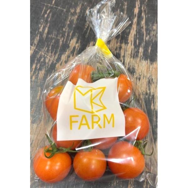 生産者：MKファーム（徳島県）防除：農薬0回・化肥0回