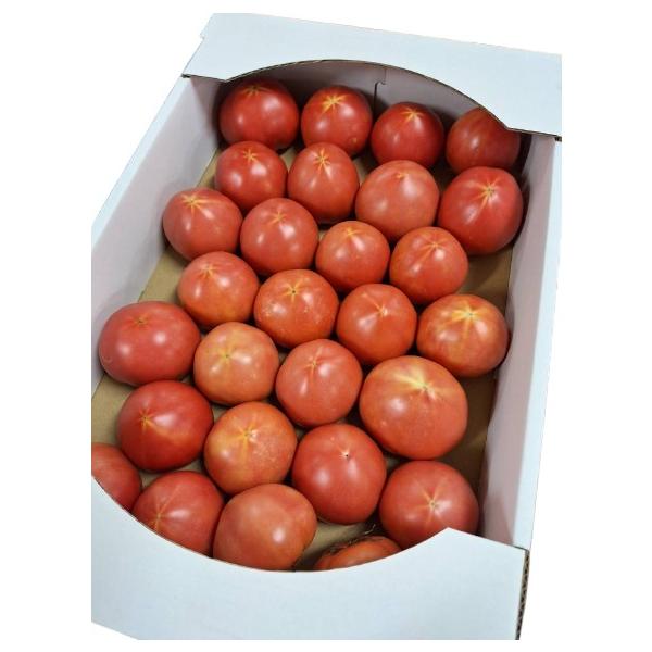 生産者：さんぶ野菜ネットワーク（千葉県山武市）防除：農薬8割減（虫3菌3植1）（許2）・化肥0回　