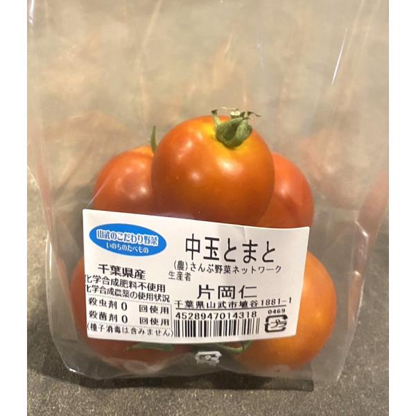 生産者：さんぶ野菜ネットワーク （千葉県山武市）防除：農薬0回（有機許容農薬1回）・化肥0回　　　爆買
