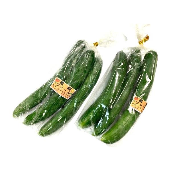 生産者：風間ファーム（山梨県明野町）防除：農薬0回・化肥0回　