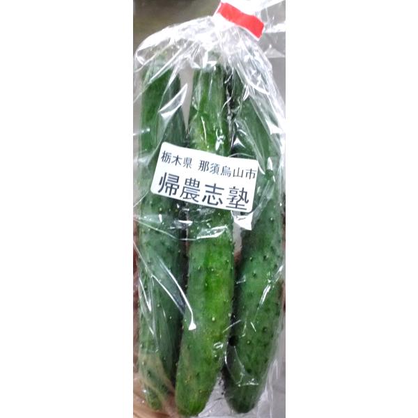 生産者：帰農志塾（栃木県那須烏山市）防除：農薬0回・化肥0回接ぎ木ではなく自根のブルームきゅうりです。現代では、ブルーム（きゅうりの果皮から出る白い粉）の出るキュウリが農薬と間違われたり、汚れたりすることから、ブルームの出ないブルームレスが...