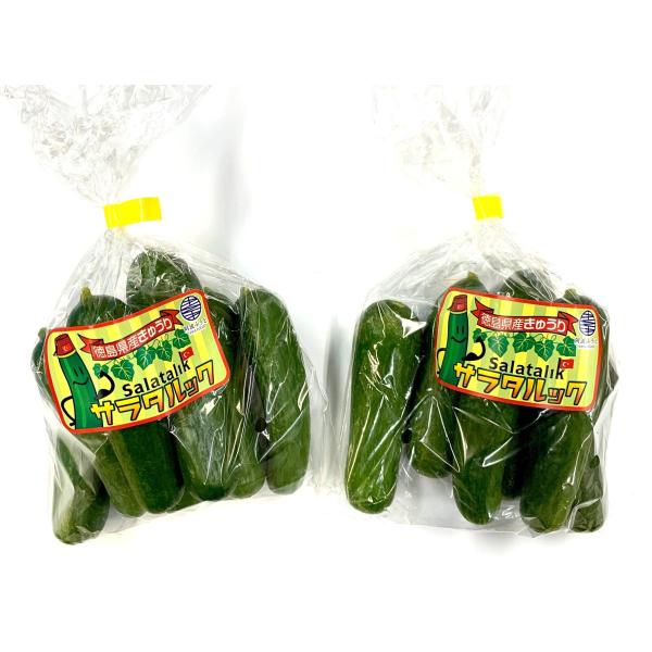 生産者：ヤマサ有機農園（徳島県阿波市）防除：農薬0回・化肥0回◆生で美味しいずんぐりきゅうり！サラタルック（トルコ語でキュウリ）と呼ばれているミニキュウリで、普通のきゅうりよりもやわらかくみずみずしいのが特徴です。 サラダにおすすめで、お弁...