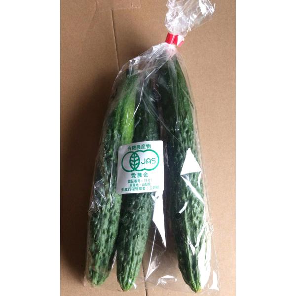 生産者：タテノファーム（山梨県北杜市明野町）有機JAS認証(有機許容農薬不使用)品種：四葉きゅうり浅漬け、ぬか漬け、醤油漬けはもちろん炒め物や煮物でも美味しいきゅうりです。　