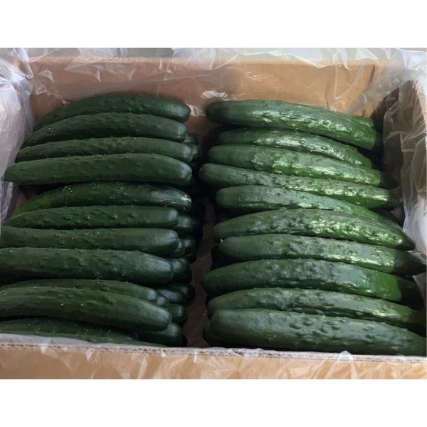 生産者：ひらら農園（沖縄県宮古島市）防除：農薬0回・化肥0回　　爆買