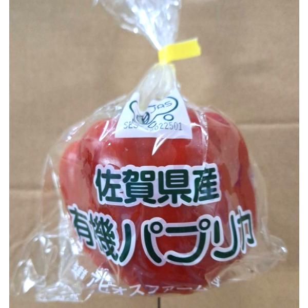 生産者：アビオスファーム （佐賀県唐津市）有機JAS認証（許0）爆買
