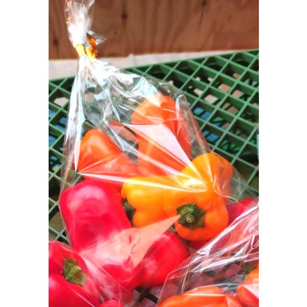 生産者：風間ファーム（山梨県北杜市）防除：農薬0回・化肥0回赤、黄、オレンジの３色入りです。　