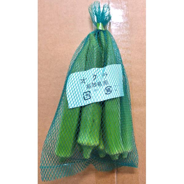 生産者：三宮農園（高知県日高市）防除：農薬0回・化肥0回　