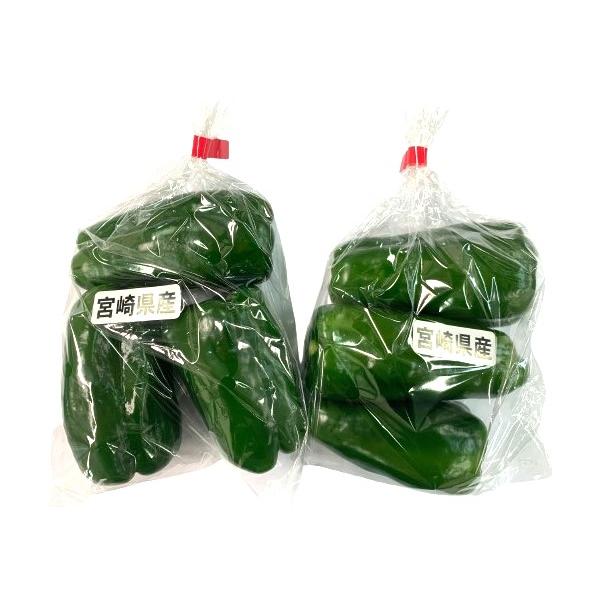 生産者：宮崎日向ファーム（宮崎県川南町）防除：農薬6割減（虫3菌2）・化肥0回宮崎有機農業研究会　長友敏さん他　