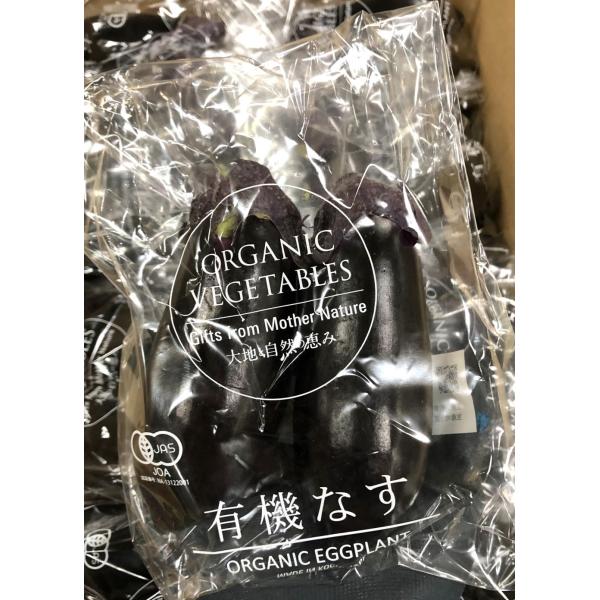 生産者：大地と自然の恵み（高知県香北町）有機JAS認証（許3）品種：あのみのり