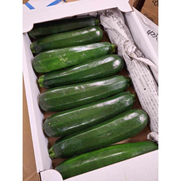 生産者：内山オーガニックファーム（熊本県錦町）有機JAS認証(有機許容農薬不使用)栽培は有機JAS認証です。箱は有機JAS認証マーク入り。 ※栽培は有機JAS認証なのですが、箱から出し、有機JASマークが添付されないため、0・0といたします...