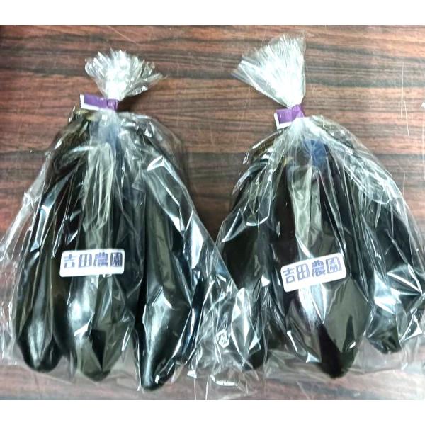 生産者：吉田太郎（群馬県高崎市）防除：農薬5割減（虫6）（許1）・化肥0回品種：PC鶴丸（長卵型）バイヤーいちおしです！ナス特有のえぐみがなく、油で炒めて醤油をかけて食べるだけでめちゃウマです！