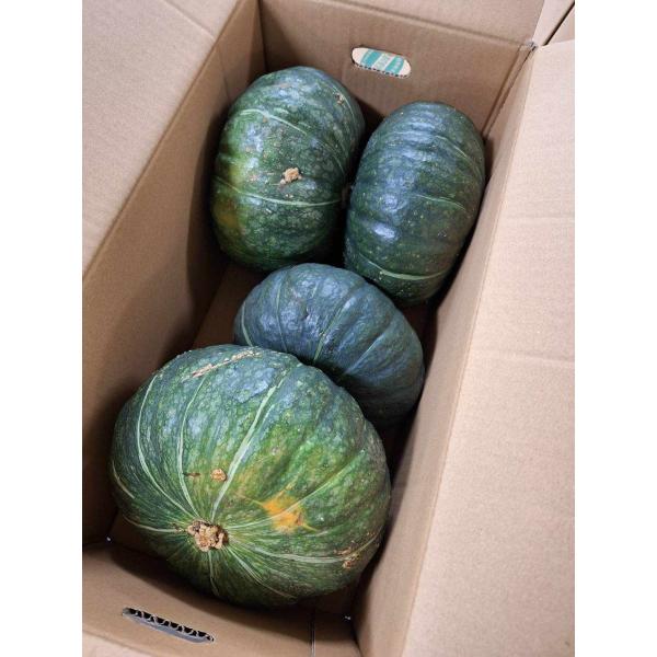 生産者：宮崎日向ファームの永友さん（宮崎県西都市）防除：農薬8割減 (菌2）（許1)・化肥8割減品種：栗五郎爆買