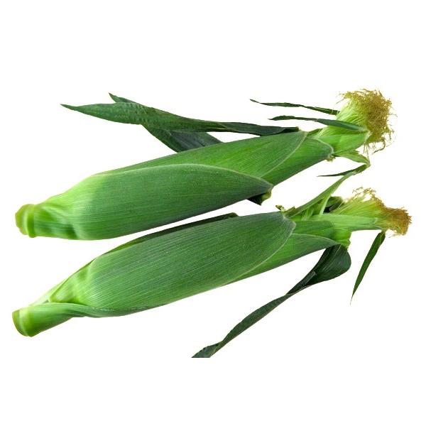 生産者：石田観光農園（群馬県長野原町）防除：農薬5割減（虫2菌2）・化肥0回品種：ゴールドラッシュ　400〜600g/本とうもろこしも終盤、この時期は気温の低い北海道や標高の高い産地からの出荷になります。石田観光農園は、30年以上前に石田俊...