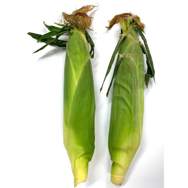 生産者：風間ファーム（山梨県北杜市）防除：虫1・化肥0回品種：ゴールドラッシュ　