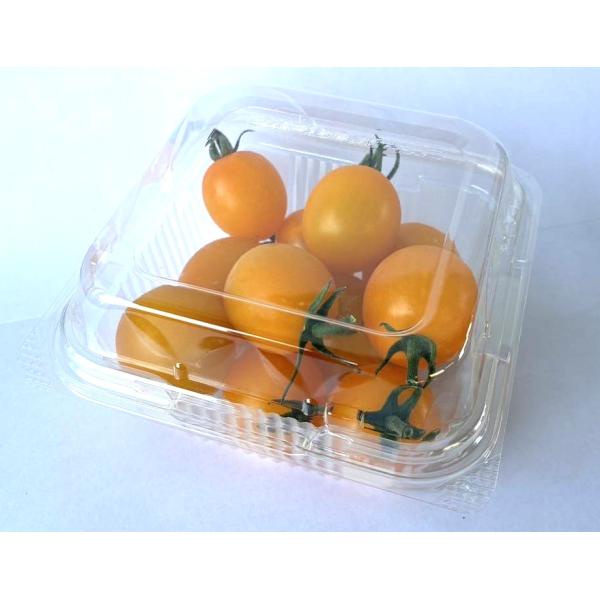 生産者：沃土会（埼玉県深谷市）防除：農薬0回・化肥0回品種：イエローミミ爆買