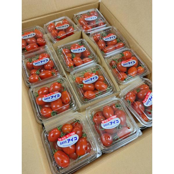 生産者：長崎有機農業研究会（長崎県南島原市）防除：農薬7割減（虫4菌1）（許3）・化肥0回品種：アイコ長円形のミニトマトです。味も食感もふつうのミニトマトとは少し違い甘くておいしいので市場にもだいぶ定着してきました。　