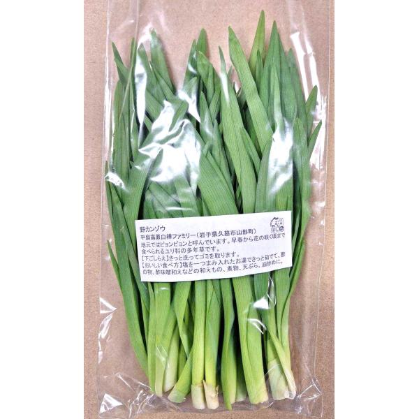 生産者：平庭牧場（岩手県久慈市）天然物です。「のかんぞう」は軽くゆでるとねぎのようなぬめりが出る甘みのある山菜です。しゃきしゃきとした食感が特徴で、酢味噌和えがおすすめ。茹ですぎないのがポイントです。　　　爆買