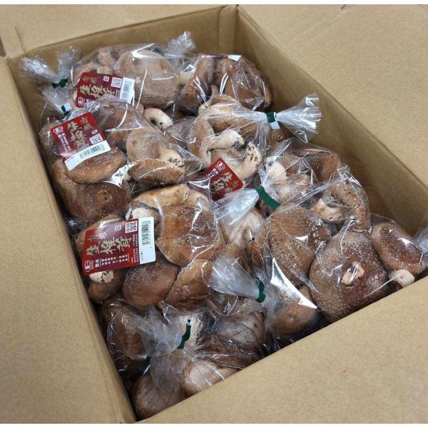 生産者：SUCCESS HARUKA（岐阜県郡上市）菌床栽培　有機JAS認証（有機許容農薬不使用）●訳あり・ふぞろい不揃い商品とは、「傘が開ききっていて、形・大きさの不揃いを袋に入れた」商品のことですが、味、香りは正品と同じです！この機会に...