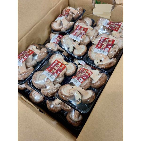 生産者： オーガニックファーム奥美濃（岐阜県郡上市　または 三重県）有機JAS認証（有機許容農薬不使用）菌床しいたけの原産地は、菌床に植菌した場所となっています。このしいたけは、岐阜県と三重県両方で植菌したものを、岐阜県で生育させています。...