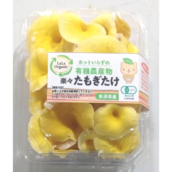 生産地：楽々（新潟県新潟市）有機JAS認証（許0）「天然ものに迫る美味しさ！」たもぎたけは、傘が黄色く、その高い栄養価と、味の良さで知られるきのこです。この楽々のたもぎたけは、コットンハルとビートパルプと種菌のみを原料とした発酵菌床で栽培し...