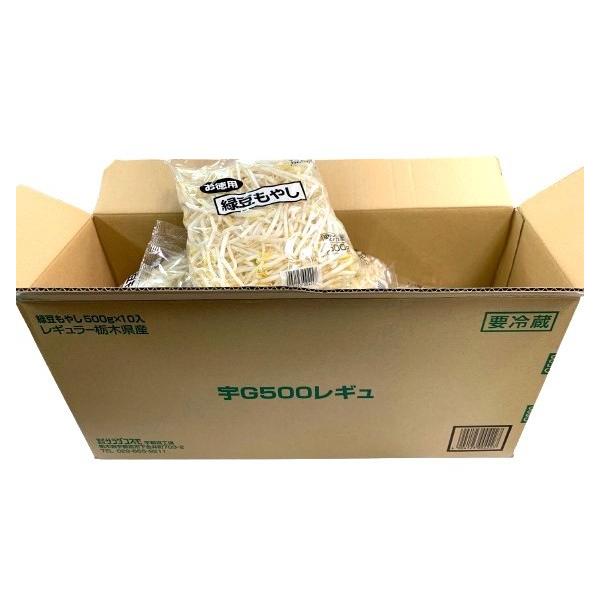 生産者：サラダコスモ（栃木県宇都宮市）防除：農薬0回・化肥0回大容量のお徳用緑豆もやしです。1981年　戦後はじめて、日本で初めて『緑豆』を原料としたもやしを作り始めたのはサラダコスモです。『もやし』とは植物名ではなく、豆類や殻類などの種子...