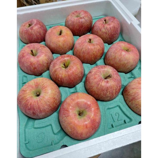 生産者：津軽産直組合（青森県南津軽郡浪岡町）防除：農薬5割減（虫9菌9）（許2・0）・化肥0回サンふじは日光を十分に浴びて生育するので、糖度や香りも増し、比較的蜜が入っているおいしいりんごになるといわれています。シーズン最後のもので、若干の...