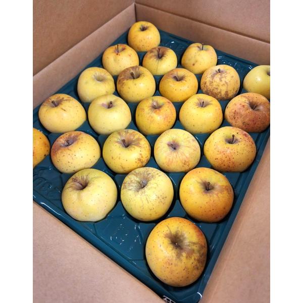 生産者：和楽農苑（留目昌明）（青森県八戸市）有機JAS認証（許17）品種：はるか「はるか」は岩手大学が開発した、ゴールデンデリシャスとスターキングデリシャスの交配種で、2002年に品種登録されました。黄色りんごで、糖度が16%以上になること...