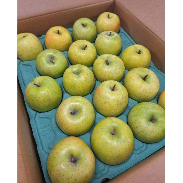 生産者：津軽産直組合　（青森県青森市）防除：農薬5割減（虫9菌9）（許2）・化肥0回品種：王林（おうりん）CA貯蔵（Controlled Atmosphere：空気調整）は、酸素（空気の1/10）・二酸化炭素・窒素・温度・湿度を調整し、鮮度...