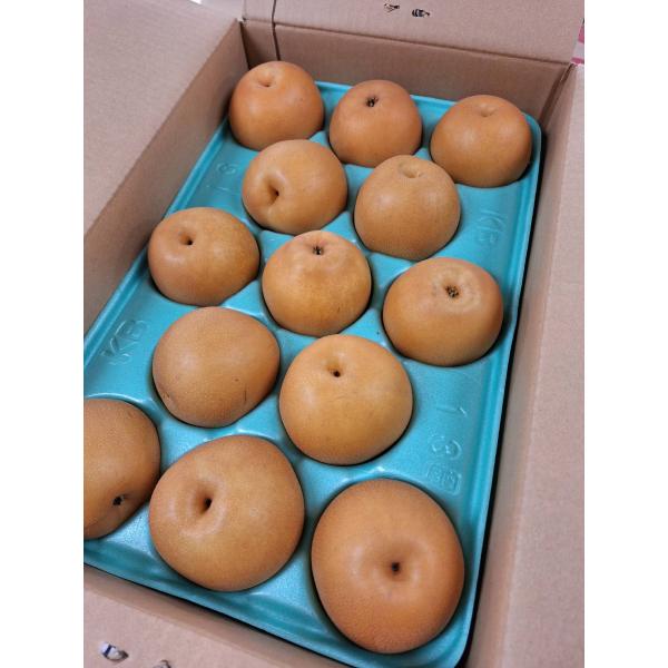 生産者：館野文雄（栃木県小山市）防除：農薬5割減（虫9菌9）・化肥9割減品種：にっこり◆和梨シーズン最後を飾るでっかい梨栃木県でしか生産されておらず、名前の由来は、観光地「日光」と梨「リ」を語呂合わせしたもので、食べた人が「ニコニコにっこり...