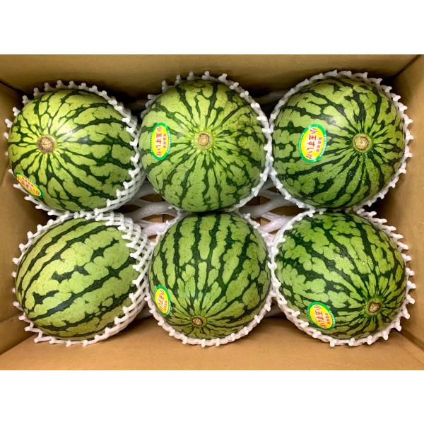 生産者：木造有機農業研究会（青森県つがる市）防除：農薬6割減（虫5菌2）（許3）・化肥0回品種： まなむずめ さくら　