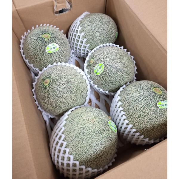 生産者：木造町有機栽培研究会（青森県つがる市）防除：農薬6割減（虫4菌2許2）・化肥0回