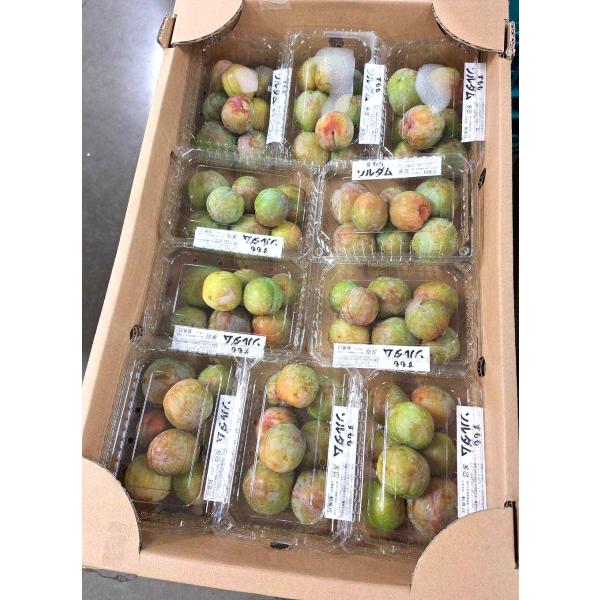 生産者：勝沼平有機果実組合（山梨県勝沼町）防除：農薬7割減（虫3菌3）（許1）・化肥0回品種：大石早生、ソルダム、菅野中生、サマービュートほか日本一の桃の産地、勝沼から入荷します。生産者の渡辺さんは町で一番広い４町歩の面積を栽培しています。...