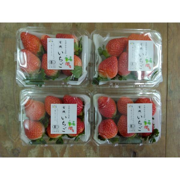 生産者：オーガニックnico（京都市西京区）有機JAS認証 　（許20）品種：かおり野、恋みのり、おいCベリー、よつぼしなど＊粒のサイズは約10g〜約30gとなります。＊若干の変形の粒が入ることがあります。爆買