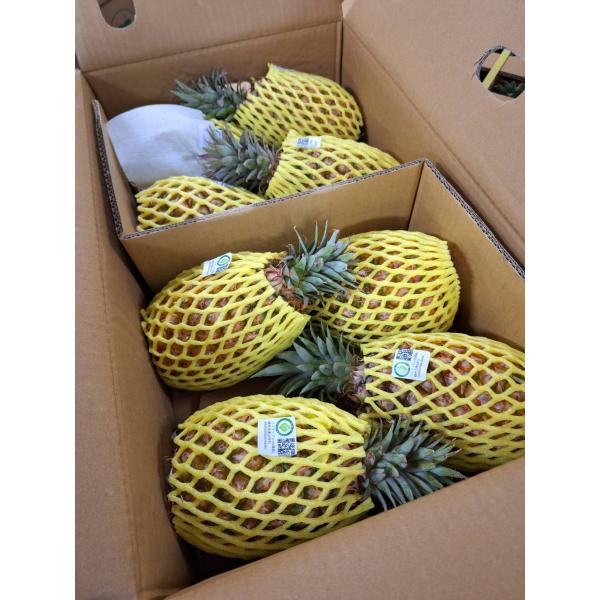 生産者：郭智偉さん（中華民国（台湾）国屏東（ピントン））防除：虫3くん蒸1回・化肥6割減品種：金讃パイン（台農17号）日本の青果物流通団体の指導で栽培をしている、　台湾産パイナップルです。金讃パイン（台農17号）というパイナップルを、さらに...