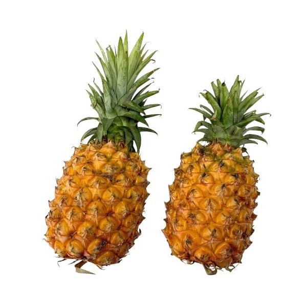 生産者：郭智偉さん（中華民国（台湾）国屏東（ピントン））防除：虫3くん蒸1回・化肥6割減品種：金讃パイン（台農17号）日本の青果物流通団体の指導で栽培をしている、　台湾産パイナップルです。金讃パイン（台農17号）というパイナップルを、さらに...