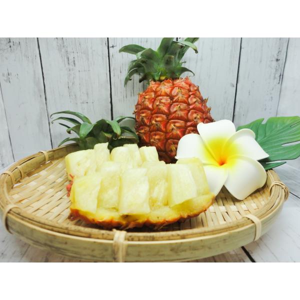 生産者：真南風（沖縄県石垣島）防除：農薬7割減（虫1除1植1）・化肥5割減品種：ハワイ種石垣島と西表島でつくられるパイナップルは適度な甘味と酸味のバランスが良く、薫り高いジューシーなトロピカルフルーツです。強酸性土壌にしか生育しないパイナッ...