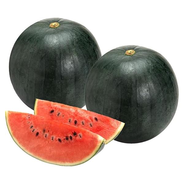 生産者：さんぶ野菜ネットワーク（千葉県山武市）防除：農薬8割減（虫2菌3）・化肥0回品種：ブラックジャック（黒皮の大玉すいかです。）規格　MA〜3Lすいかの名産地、千葉県のさんぶ野菜ネットワークからお届けするのはちょっと驚くくらい皮の黒い「...