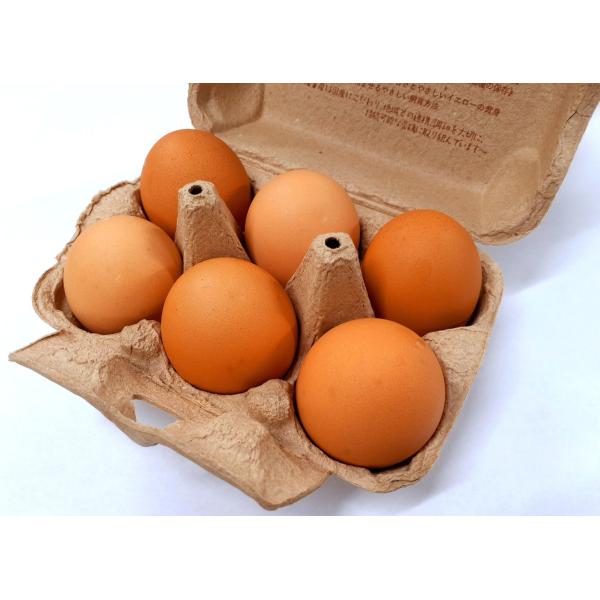 [ 商品説明 ]産地：小幡畜産（茨城県茨城町）鶏の品種は国産品種：「もみじ」平飼いで、ふかふかの籾殻が敷き詰められた鶏舎の中を、自由に動き回っています。お米を飼料にした卵は、色は薄くなりますが、小松菜などの葉物を食べさせることでなるべく黄色...