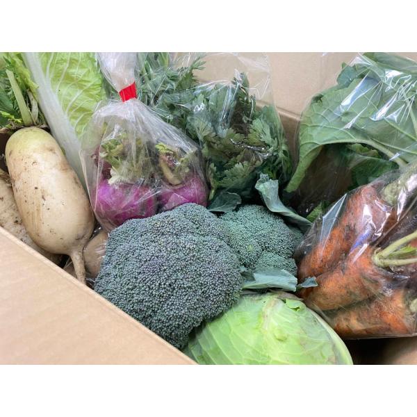 生産者：種の自然農園（岩崎政利）防除：農薬0回・化肥0回直近のお野菜セットの内容です。（毎週変わりますのであくまでも目安となります。）・黒田五寸人参・弘岡かぶ・大和真菜・こぶ高菜・タァサイ・横川つばめ大根・花芯白菜・じゃがいも・はくさい・キ...