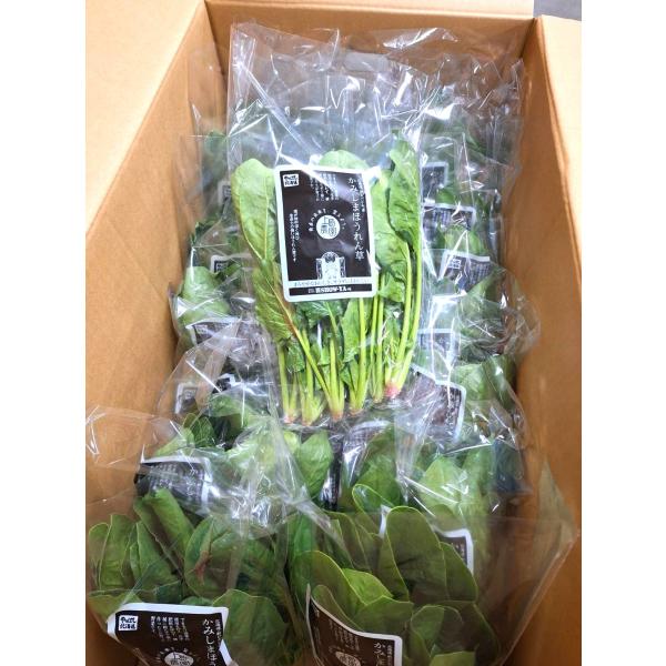 生産者：上島農園（北海道新ひだか町）防除：農薬0回・化肥0回　　　爆買