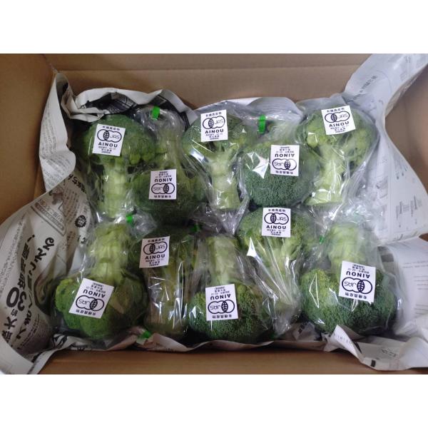 生産者：うんぜん農園（長崎県雲仙市）有機JAS認証（有機許容農薬不使用）爆買