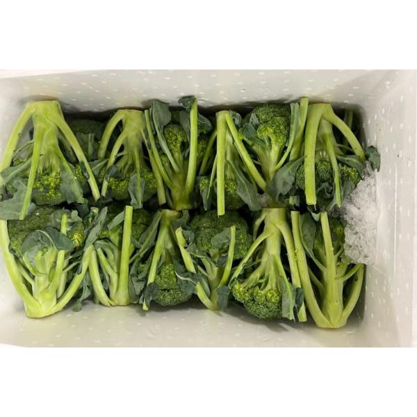 生産者：ベジタブルワークス　佐々木農園（北海道真狩村）防除：農薬5割減（虫1菌4許1）・化肥8割減発泡スチロールに氷詰めで産地から発送しますが、輸送途中でほぼ溶けてしまうでしょう。到着後はすみやかに箱から冷蔵庫等に移し替えてください。　　