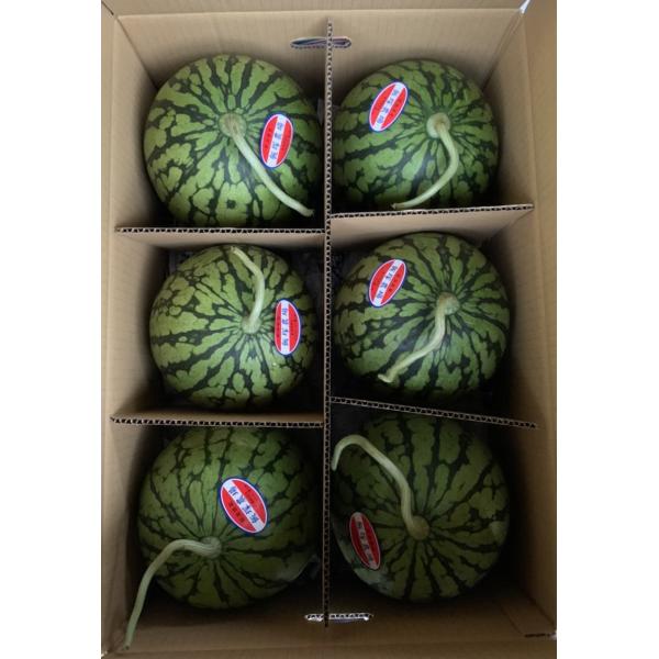 生産者：飯塚農場（新潟県南魚沼市）防除 ：菌2（許1）・化肥5割減品種：ひとりじめEX　ピノガール　　