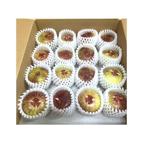 生産者：ひらら農園（沖縄県宮古島市）防除：農薬0回・化肥0回＊時期により、大きさにばらつきがでます。＊収量が限られているので、ご注文いただいてから納品まで1週間ほどかかる可能性がございます。